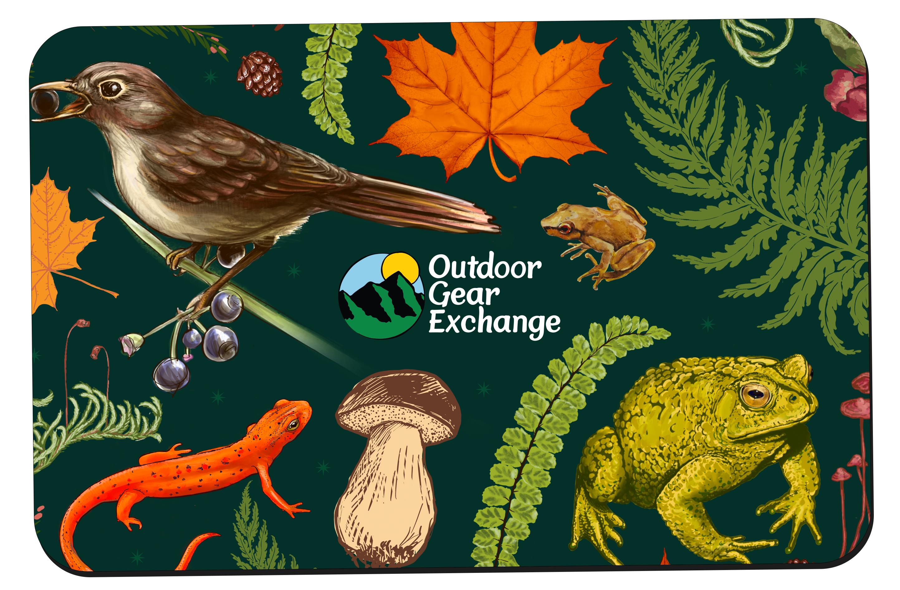 OGE Gift Cards – Outdoor Gear Exchange